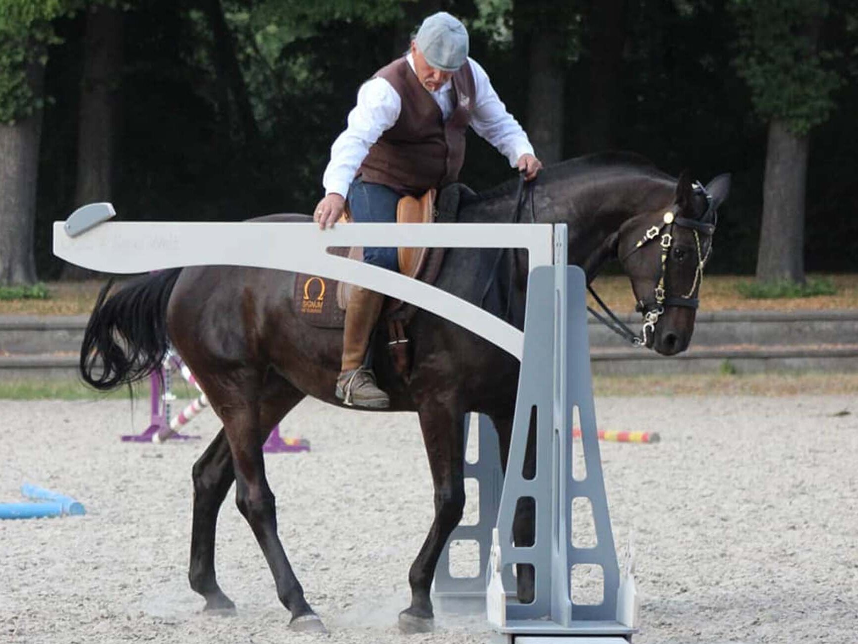 Working Equitation - Signum Sattelservice