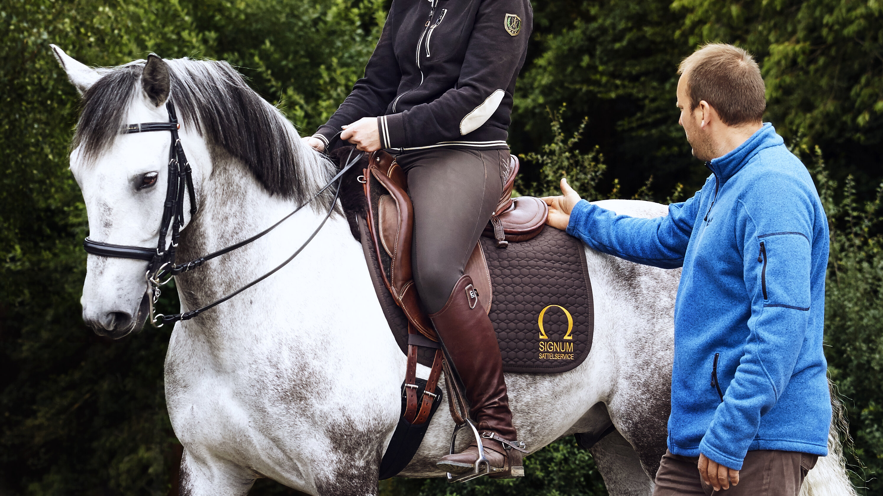 Saddle Knowledge - Signum Sattelservice