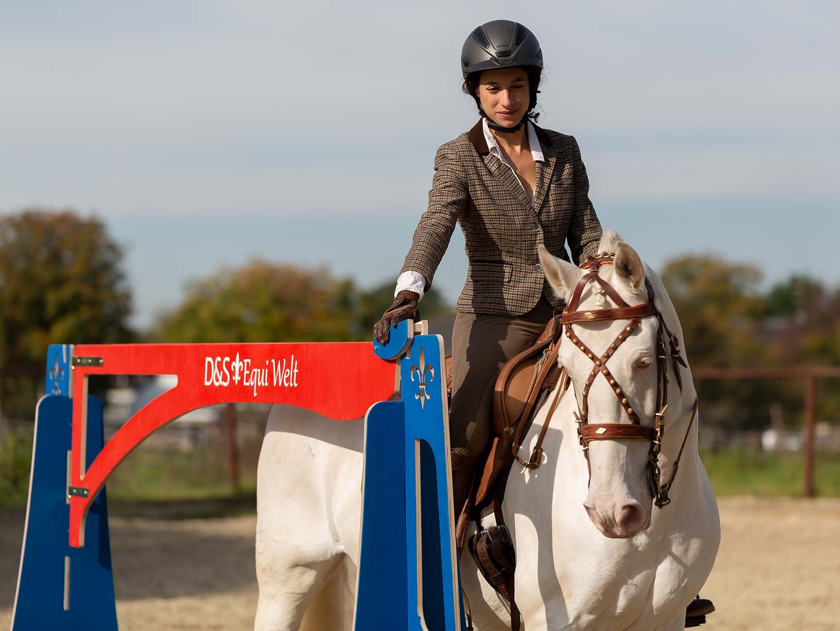 Working Equitation - Signum Sattelservice
