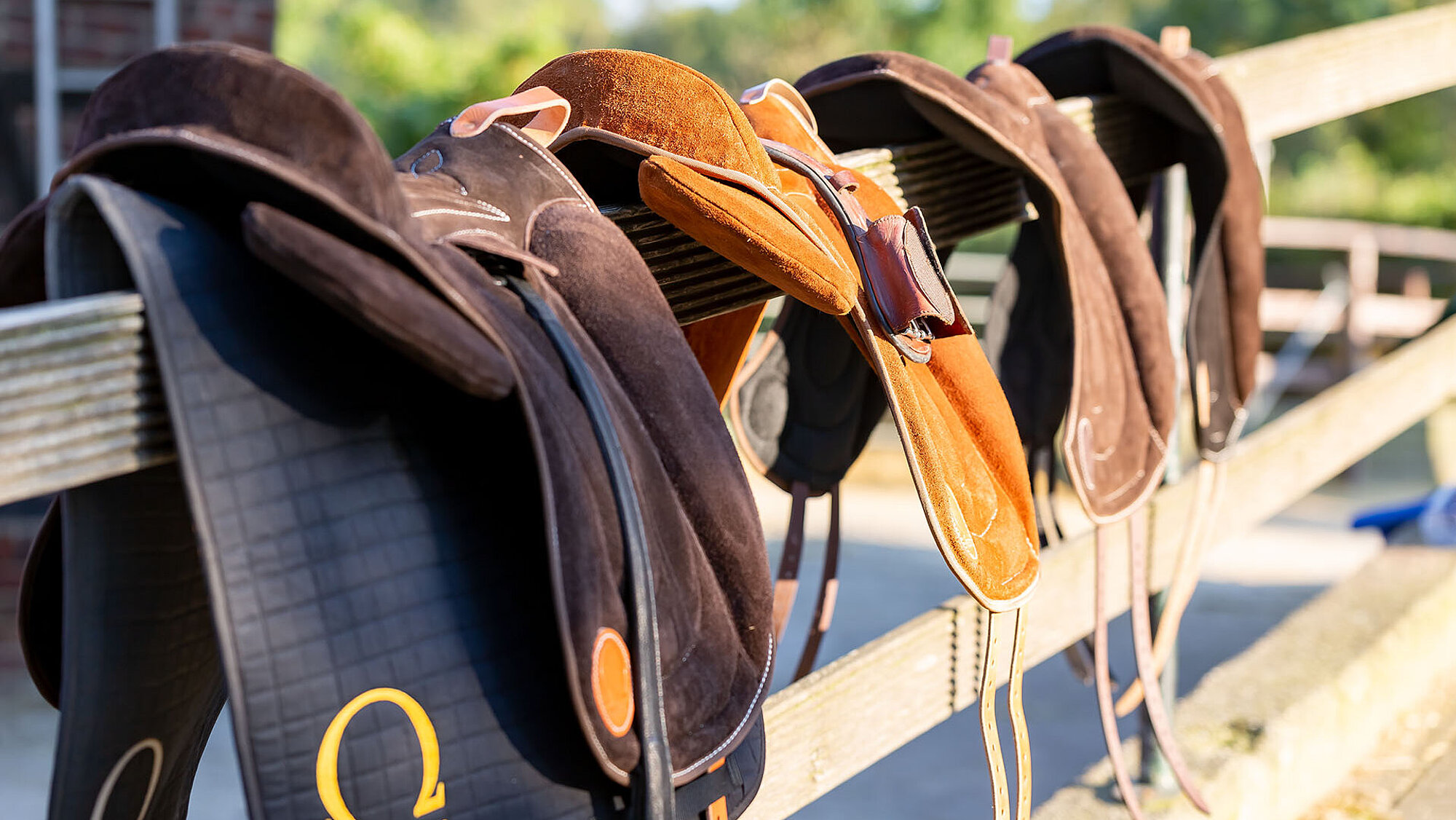 PADDLE® & Riding Pads - Signum Sattelservice