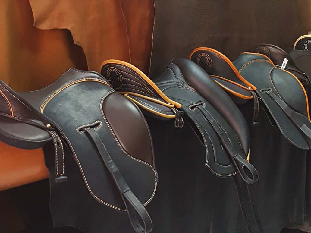 Saddle Buying - Signum Sattelservice