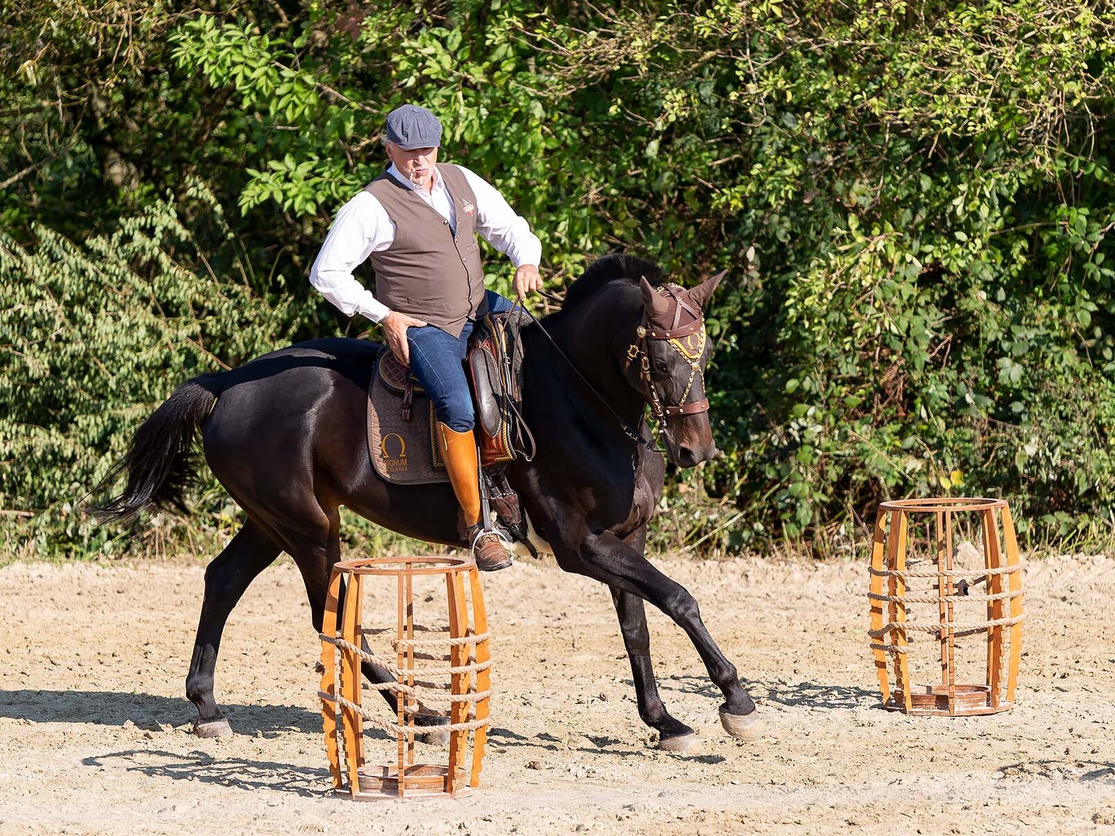 Working Equitation - Signum Sattelservice