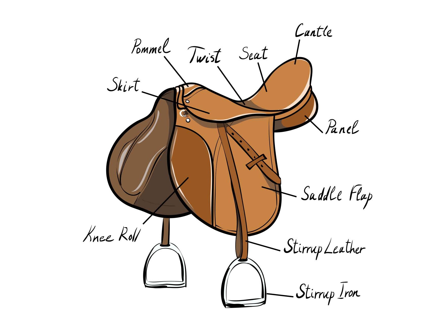 Saddle Knowledge - Signum Sattelservice