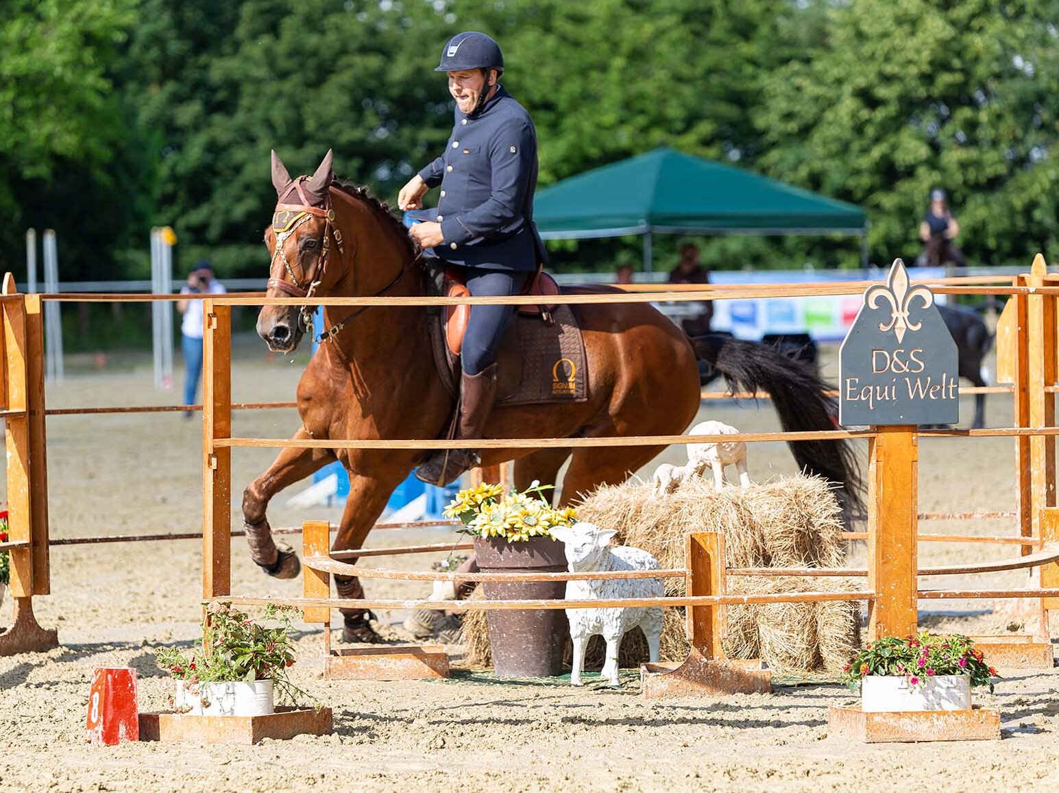 Working Equitation - Signum Sattelservice