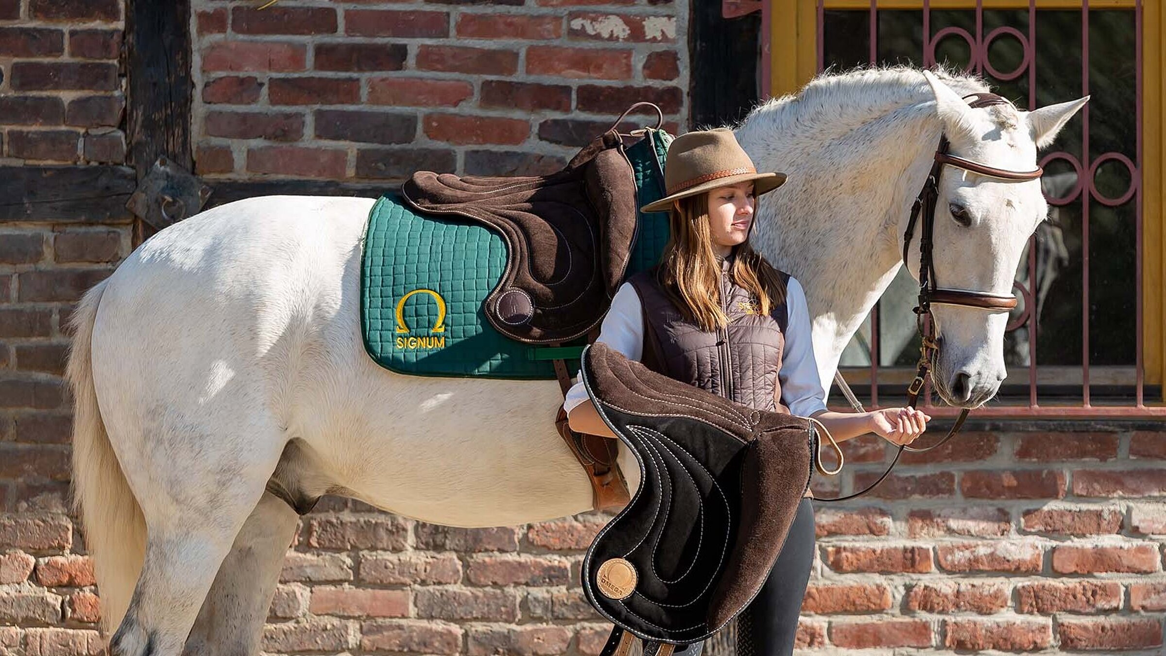 PADDLE® & Riding Pads - Signum Sattelservice