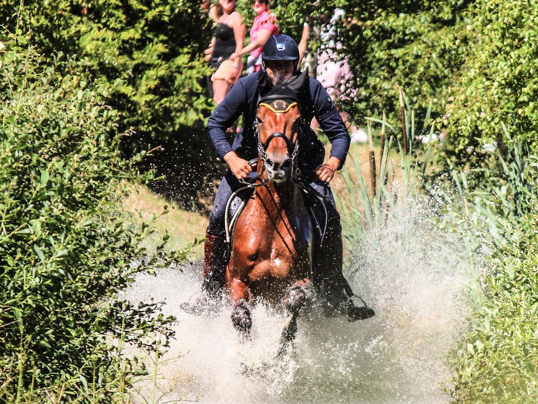 Working Equitation - Signum Sattelservice