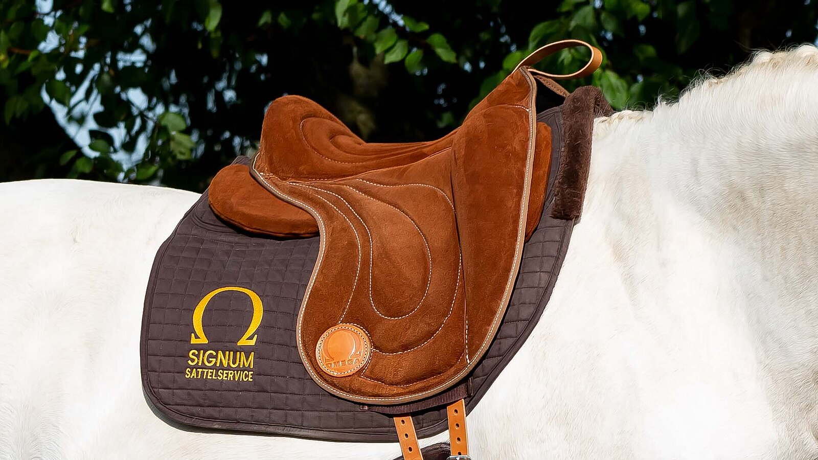 PADDLE® & Riding Pads - Signum Sattelservice